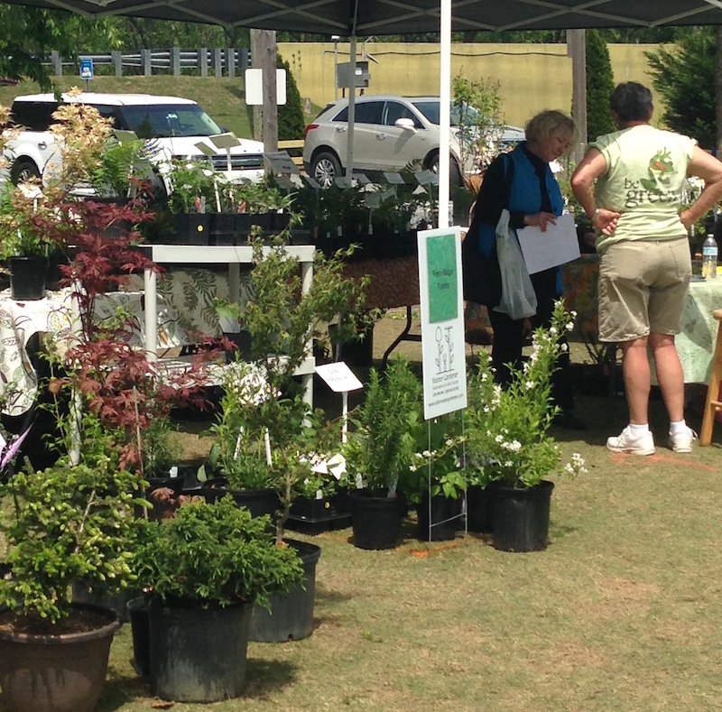 Gardens Cobb Park | Fasci Garden