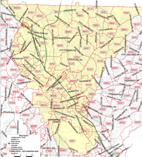 Candidates on the Issues: Cobb Commission District 3 - East Cobb News
