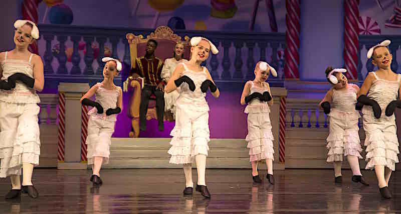 Georgia Metropolitan Dance Theatre presents 'The Nutcracker ...